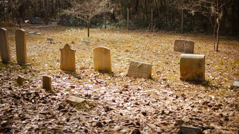 Mary Field Cemetery - DaufuskieIsland.com